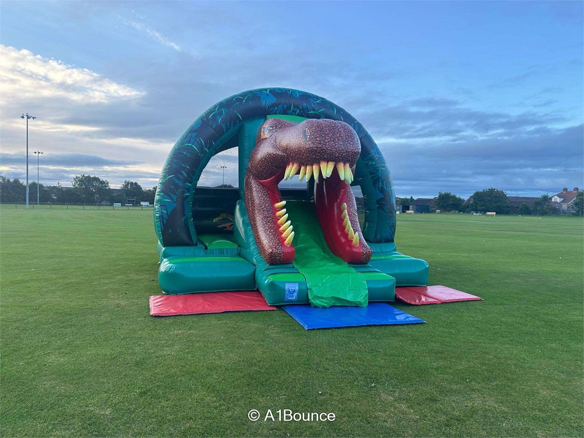 15ft by 16ft 3D Dinosaur Combi Castle - Bouncy Castle, Soft Play and ...